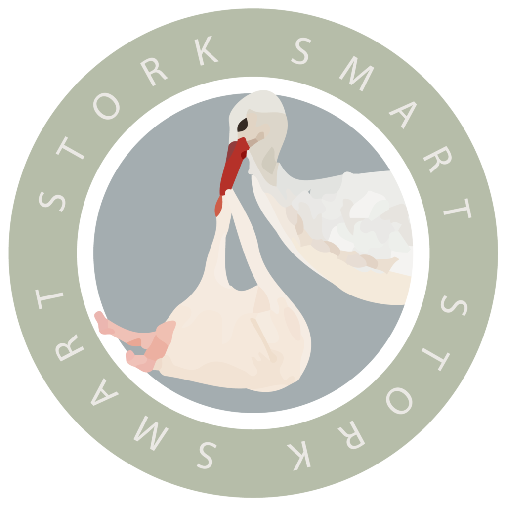 The Importance of Cervical Mucus when trying to conceive - Smart Stork